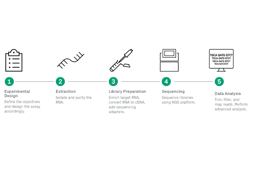 A guide to RNA-Seq workflows and methods